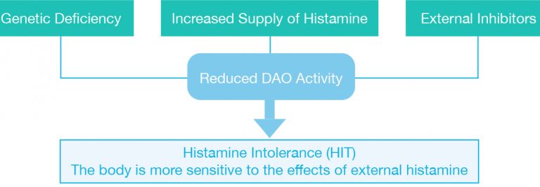 Histamine Digest 60 Capsules | DAO Enzyme Supplement