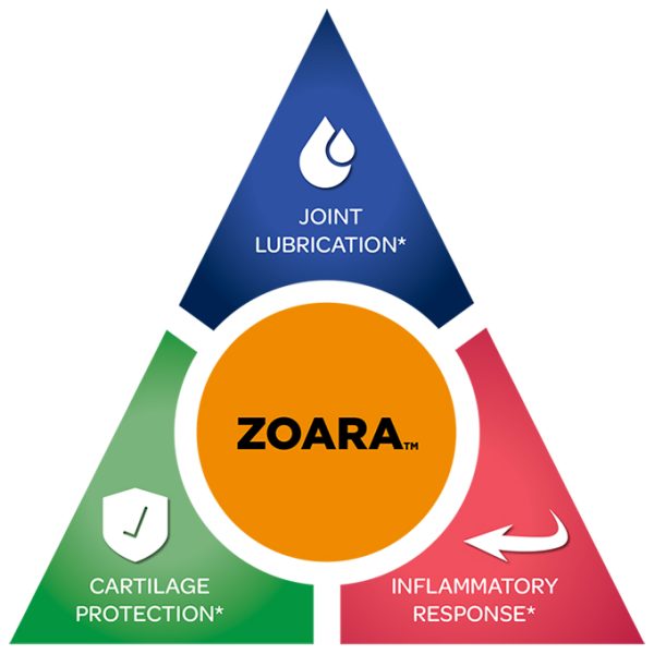 Joint Comfort with Zoara® | Diem Direct